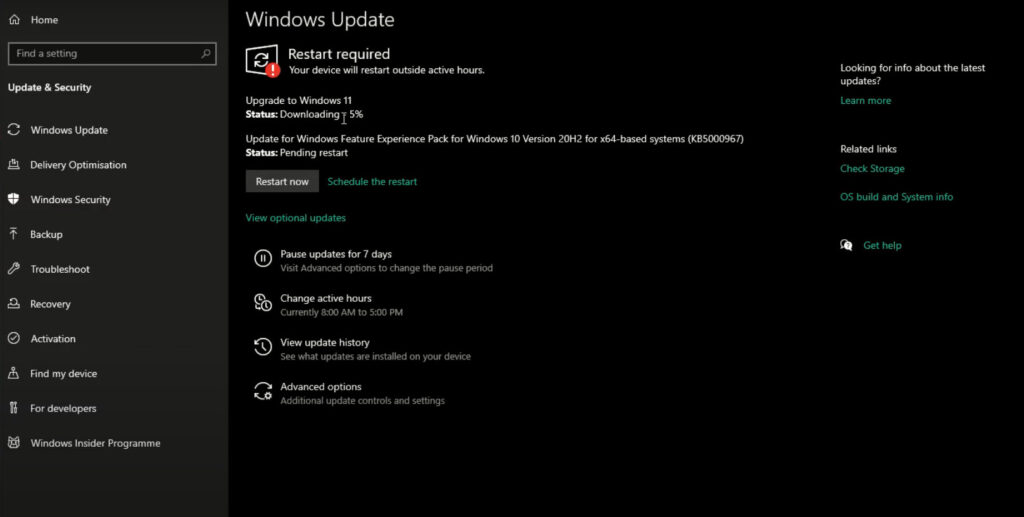 Windows 11 Update Not Showing In Settings (How To Update 10 To 11?)