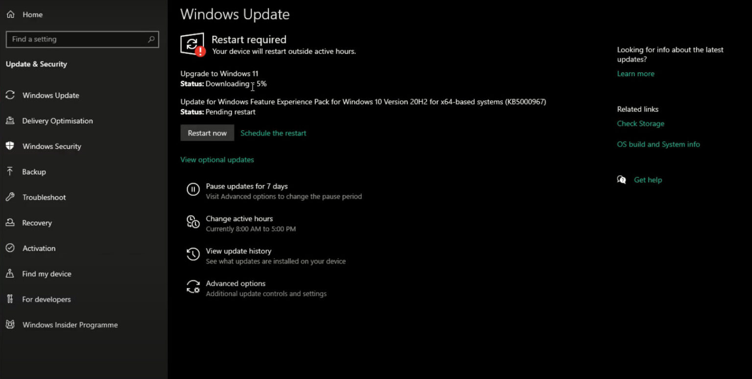 Windows 11 Update Not Showing In Settings (How To Update 10 To 11?)